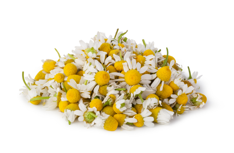 Chamomile Flowers – Pure natural ingredients