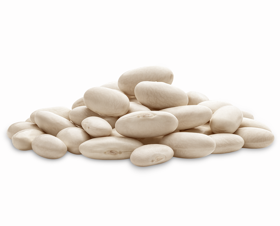 White Kidney Beans – Pure natural ingredients